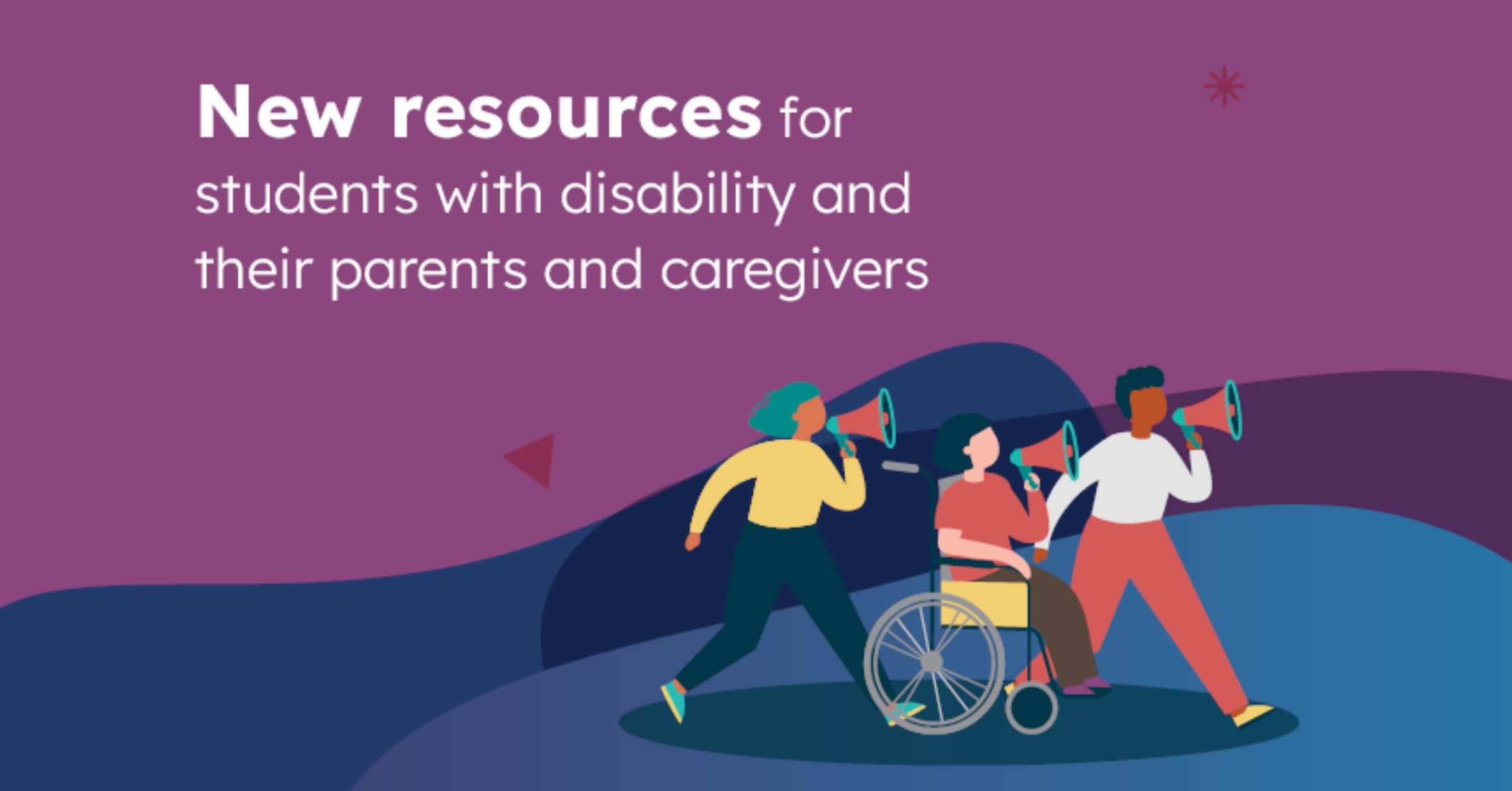 The Disability Standards for Education - CYDA