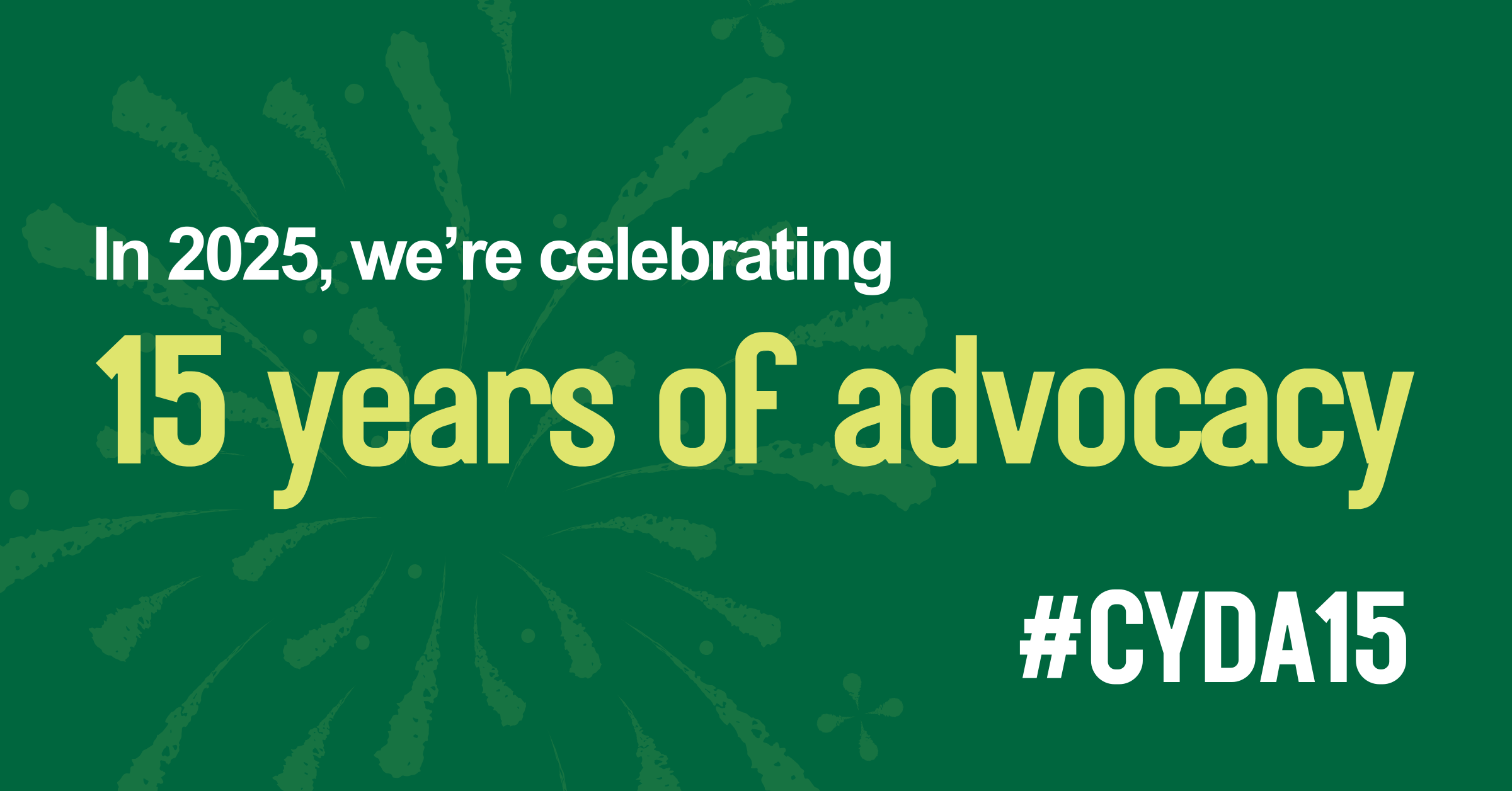 Celebrating 15 years of advocacy - CYDA
